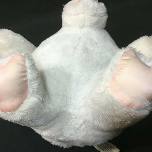 Sandra Boynton | Toys | Albert Einswein Pig Plush Rare Sandra Boynton ...